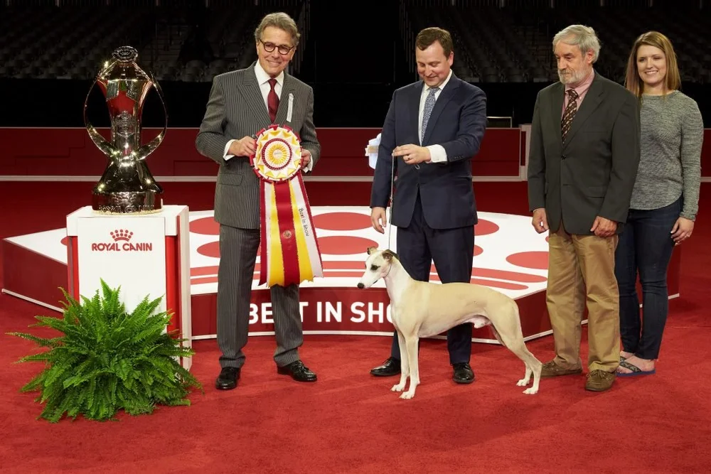 Custom Awards for 2018 AKC National Championship | Bennett Awards