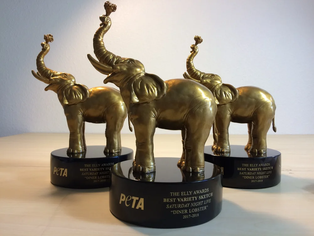 Bennett Awards Creates Custom Awards for PETA | Bennett Awards
