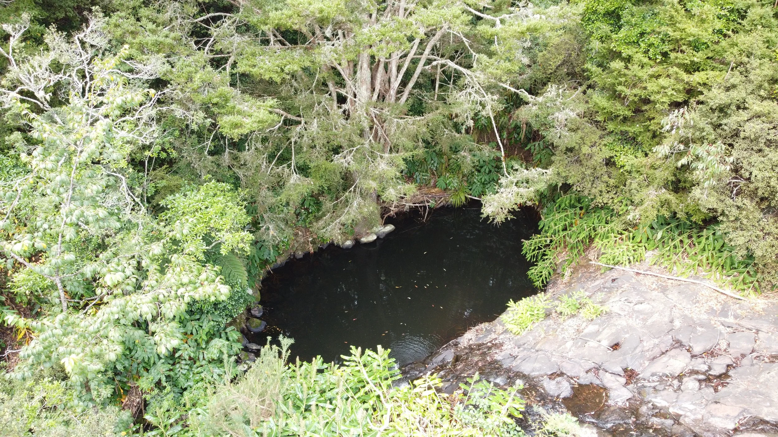 Kerikeri Sections for Sale - Streamside Estate