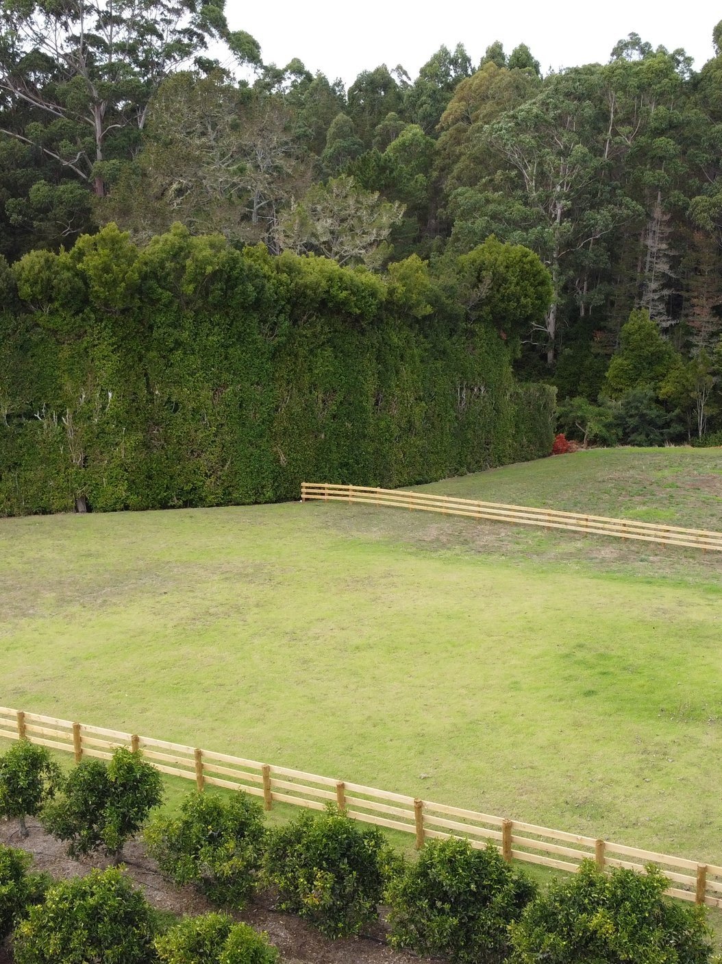 Kerikeri Sections for Sale - Streamside Estate