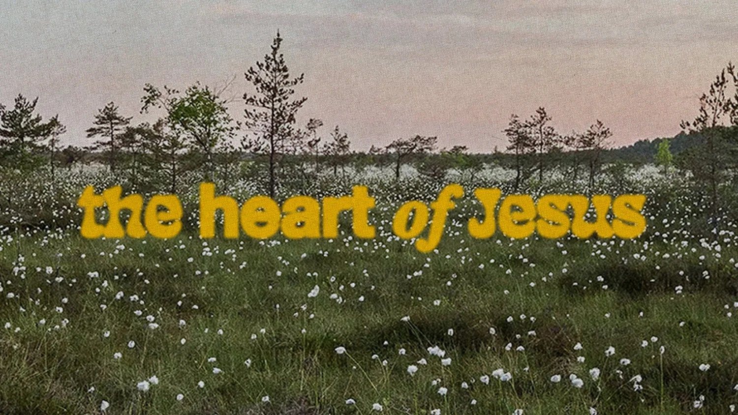 Blog 2 — Constance Free Church