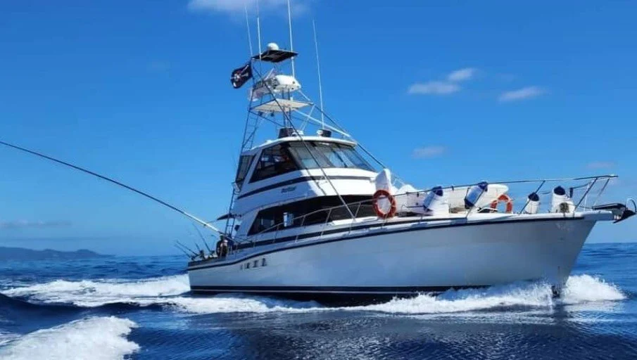 Why Choose Our Tauranga Harbour Fishing Charter