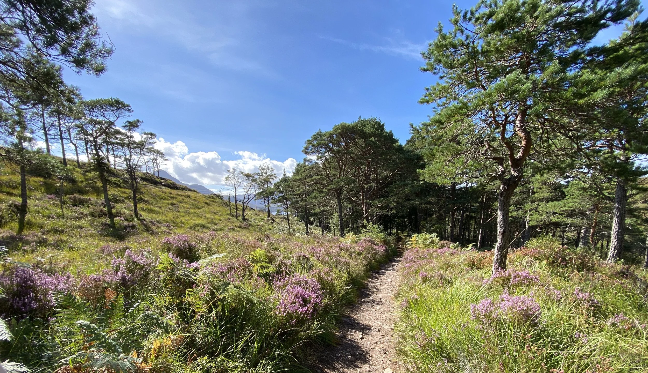 Holiday Home | Scottish Highlands | An Cos