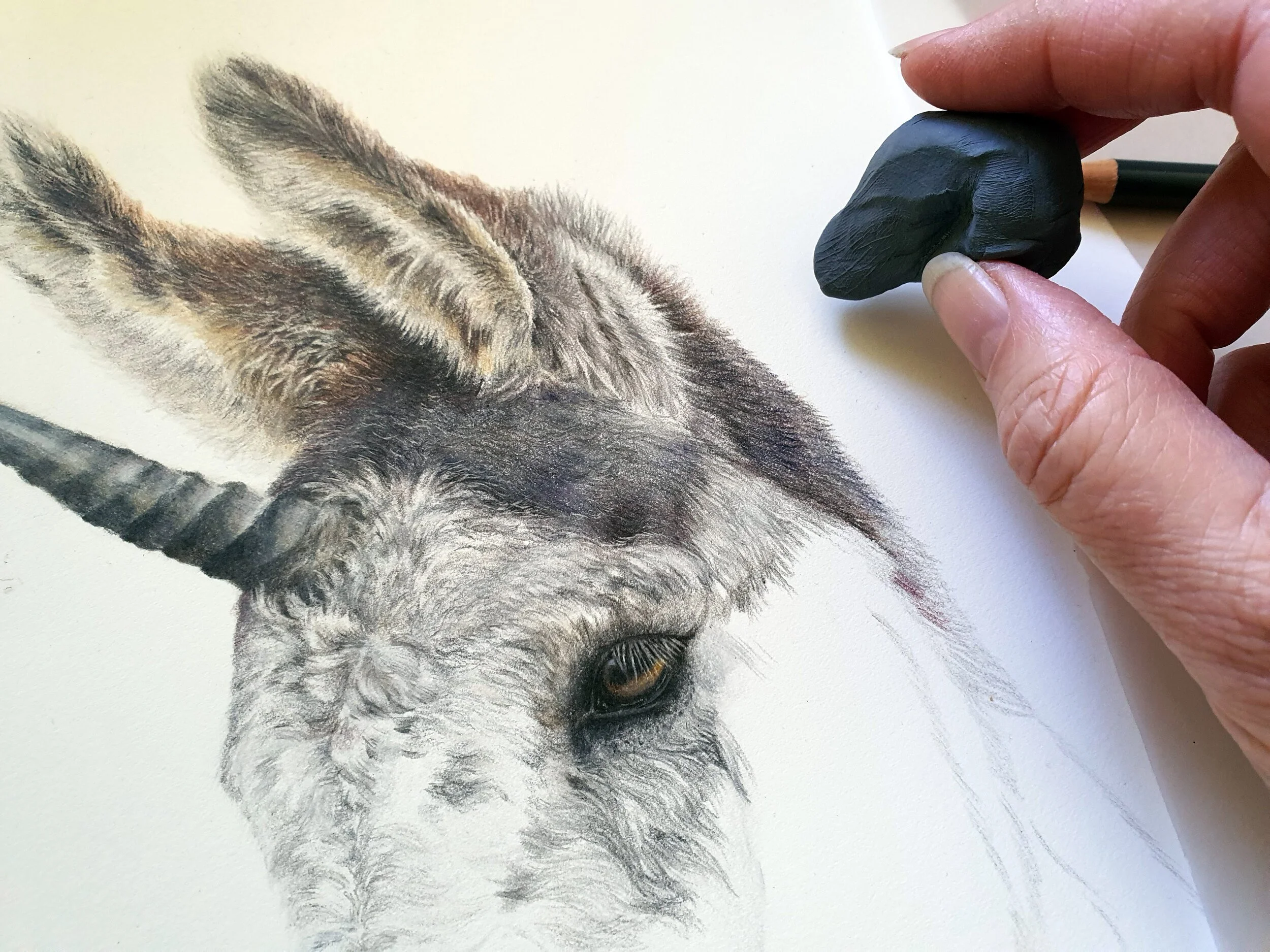 Tools We Can't Live Without — Art is Magic Online