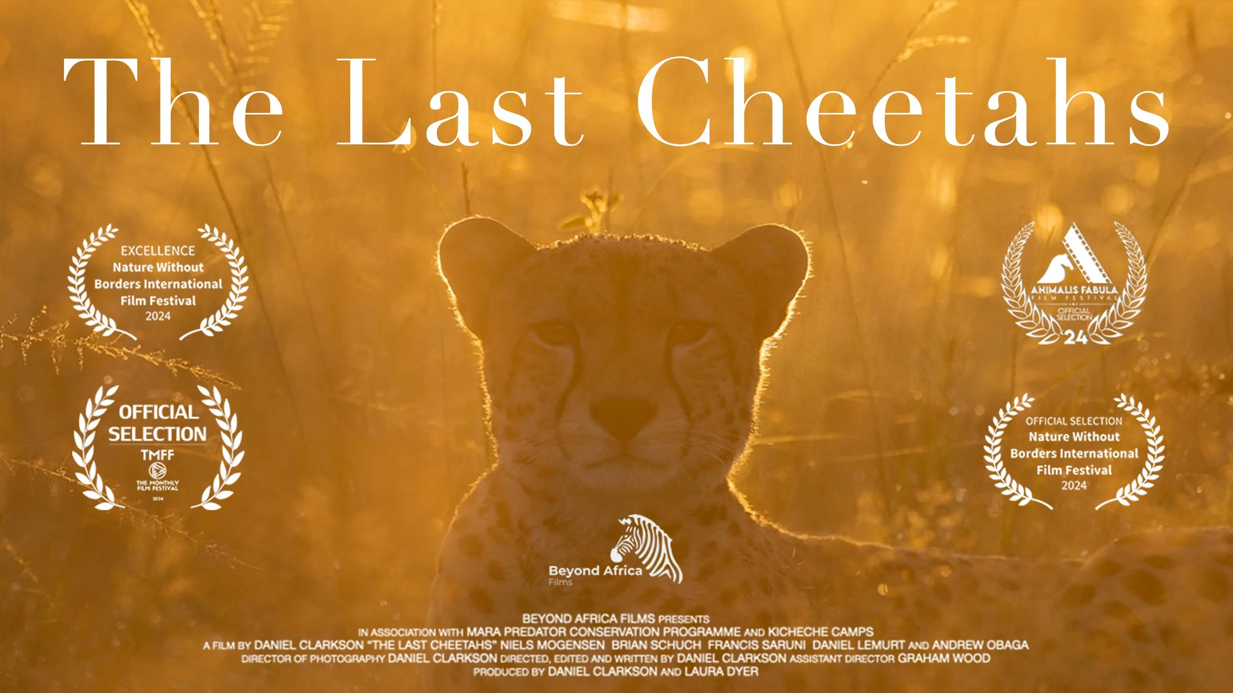 The Last Cheetahs | Official Film Site