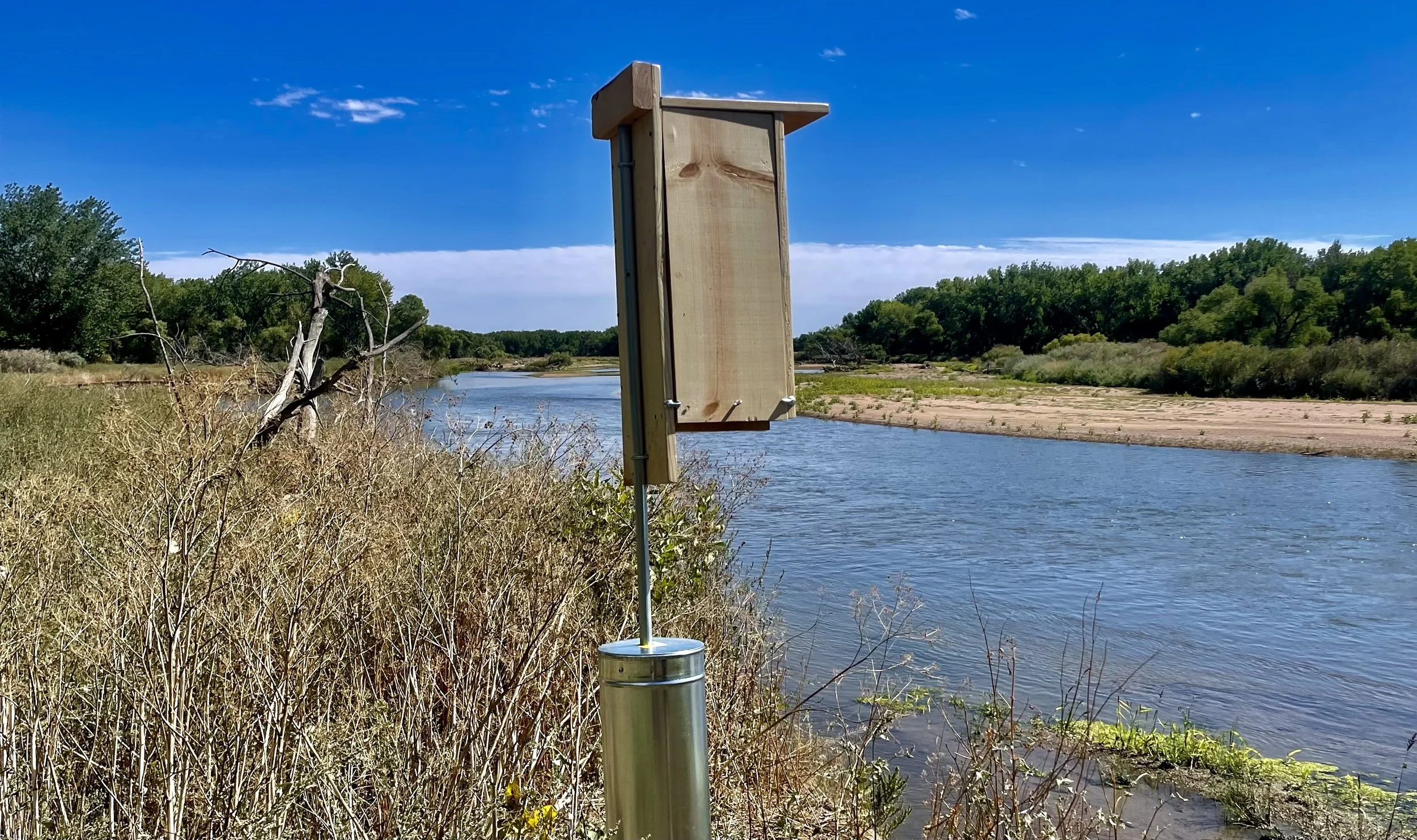 About My Project — Scouting Wood Ducks