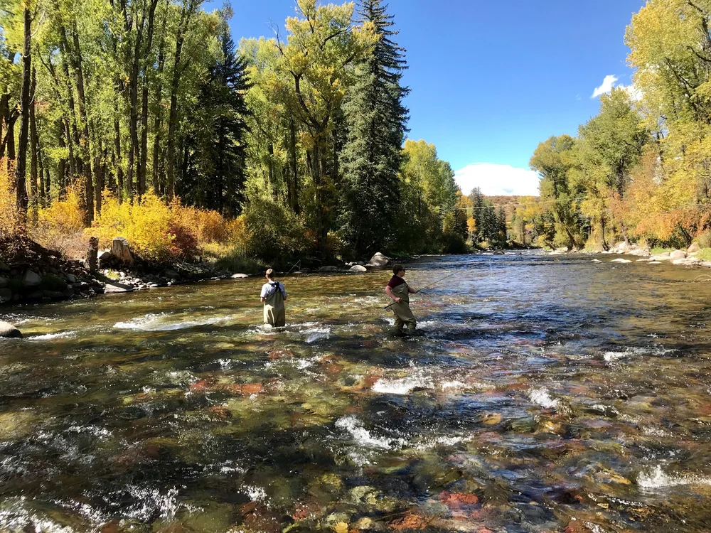 About BSA Troop 199 — Scouting Wood Ducks