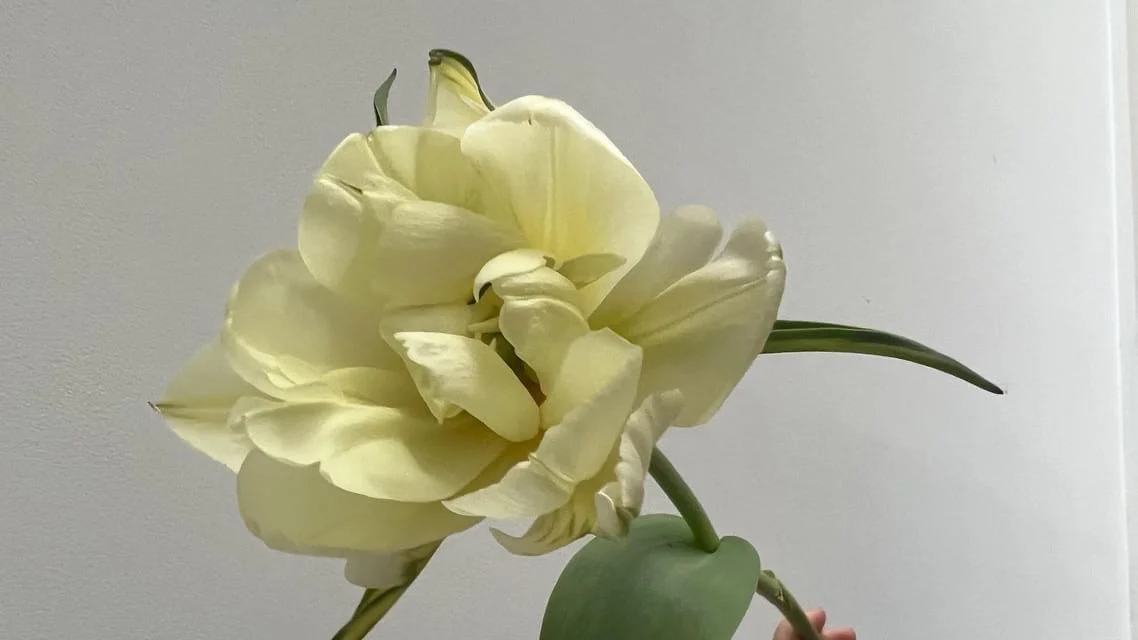 FlowerAggregate