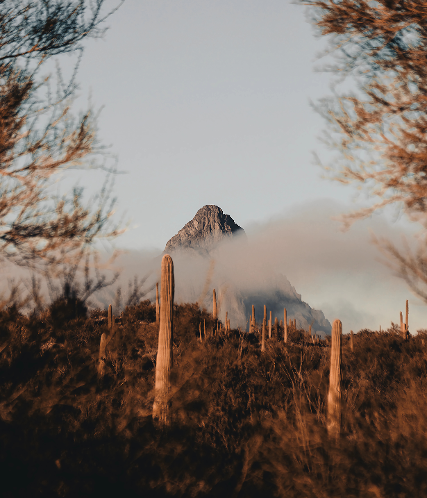 Only In Ajo - Plan Your Visit To Ajo, Arizona