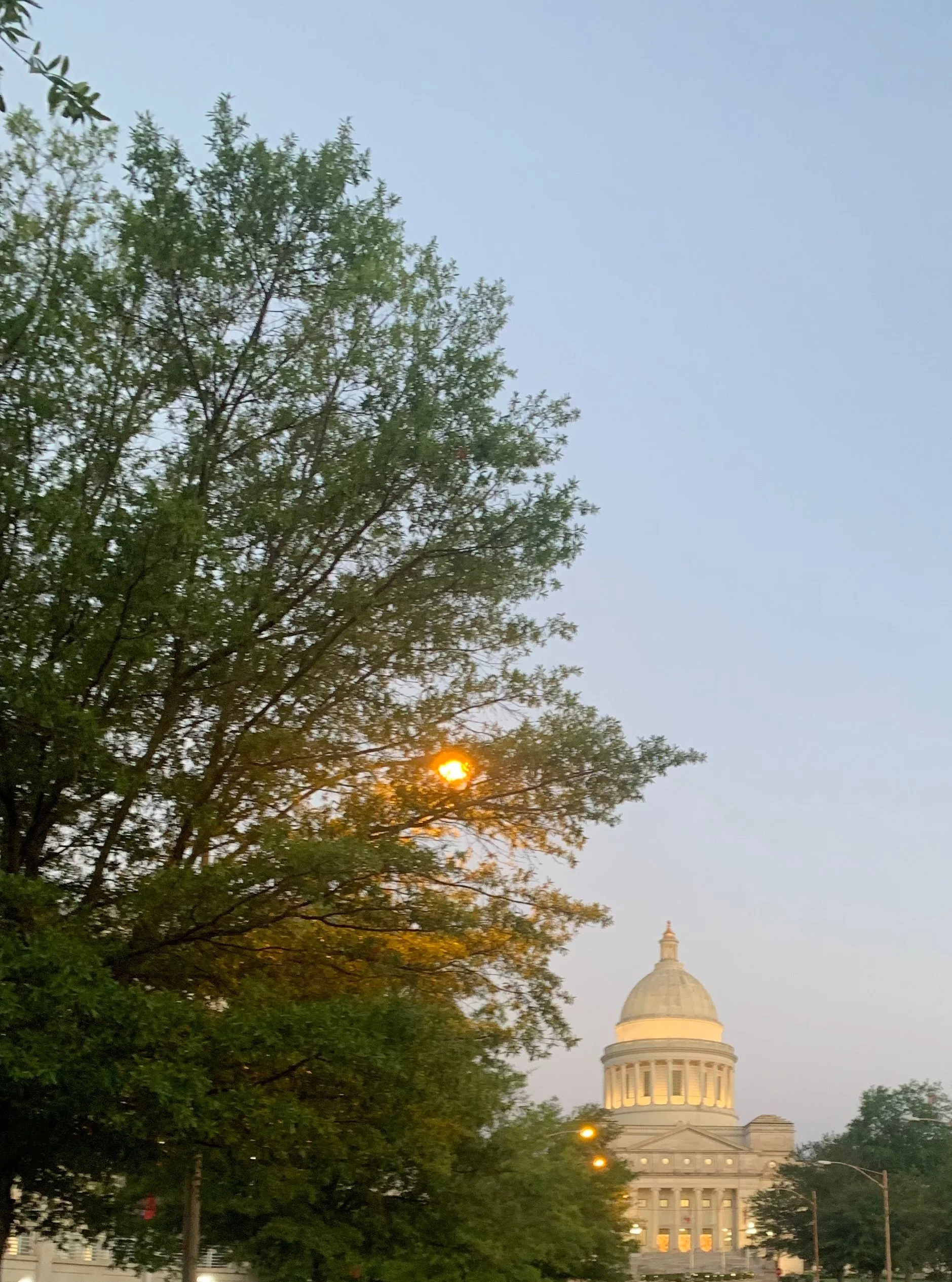 LIVING WALL ARKANSAS MONUMENT FOR THE UNBORN
