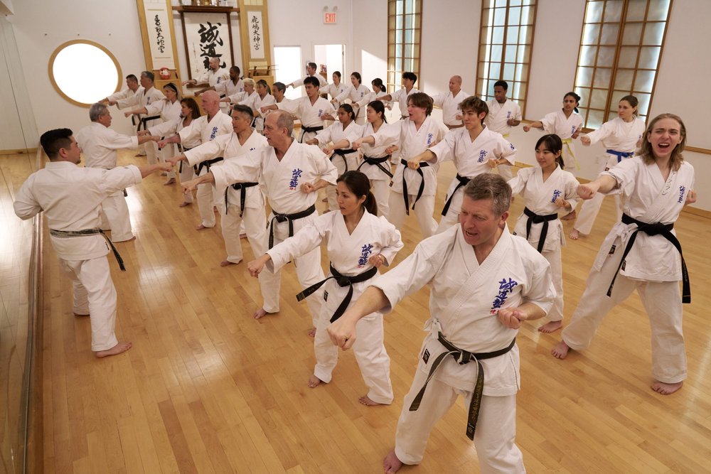 Adults Martial Arts Classes NYC — World Seido Karate