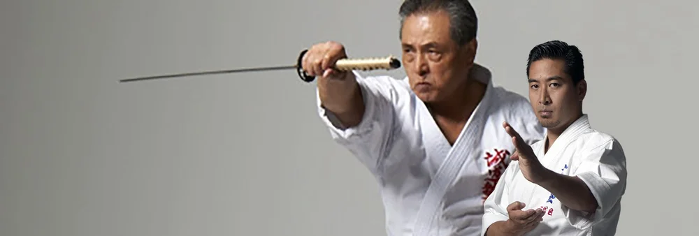 NYC Martial Arts - World Seido Karate