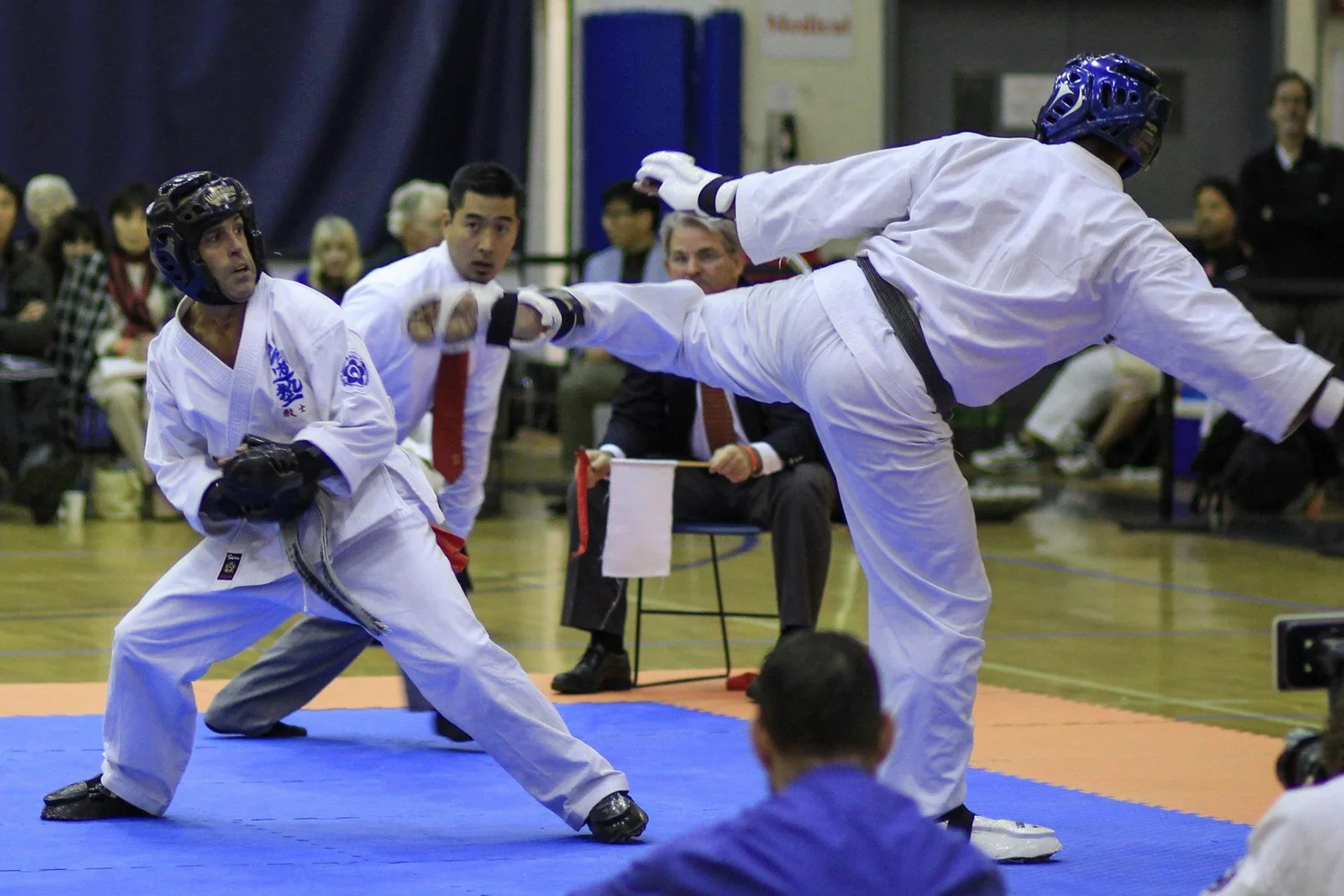World Seido Karate