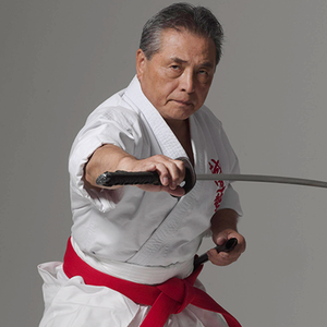 Seido 101 — World Seido Karate