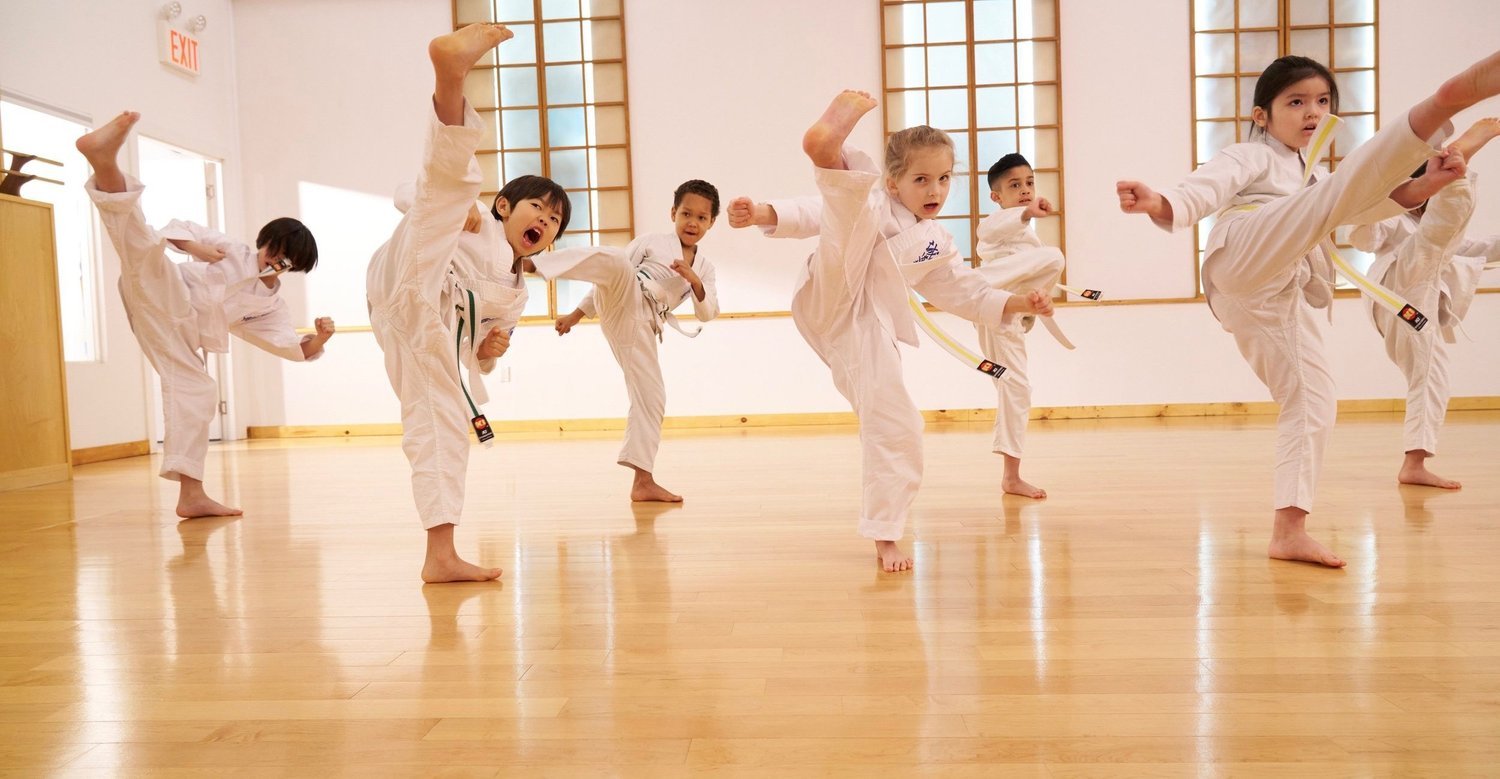 Kids Martial Arts Classes NYC — World Seido Karate