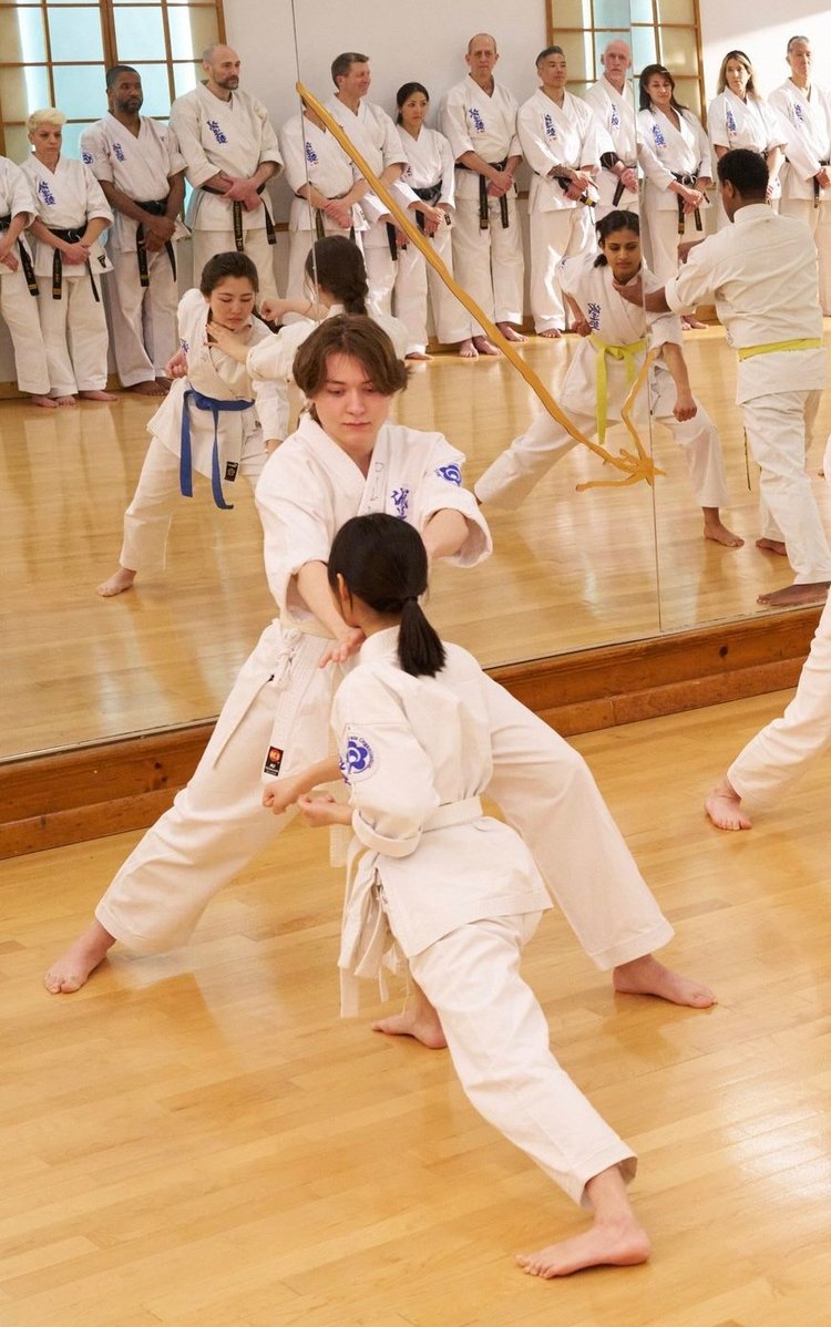 World Seido Karate