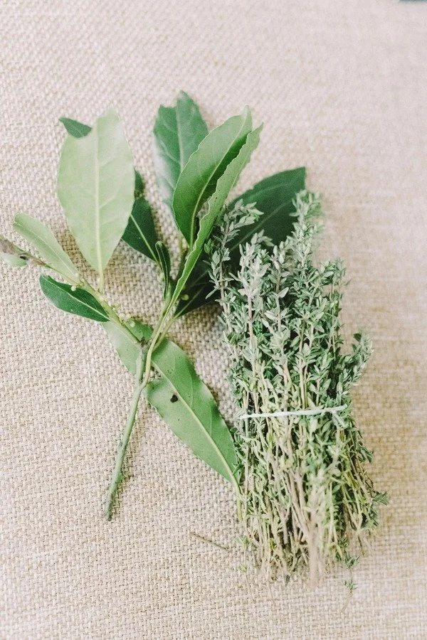 Herbal Medicine | Natural Healing with Plant-Based Remedies — Kay ...