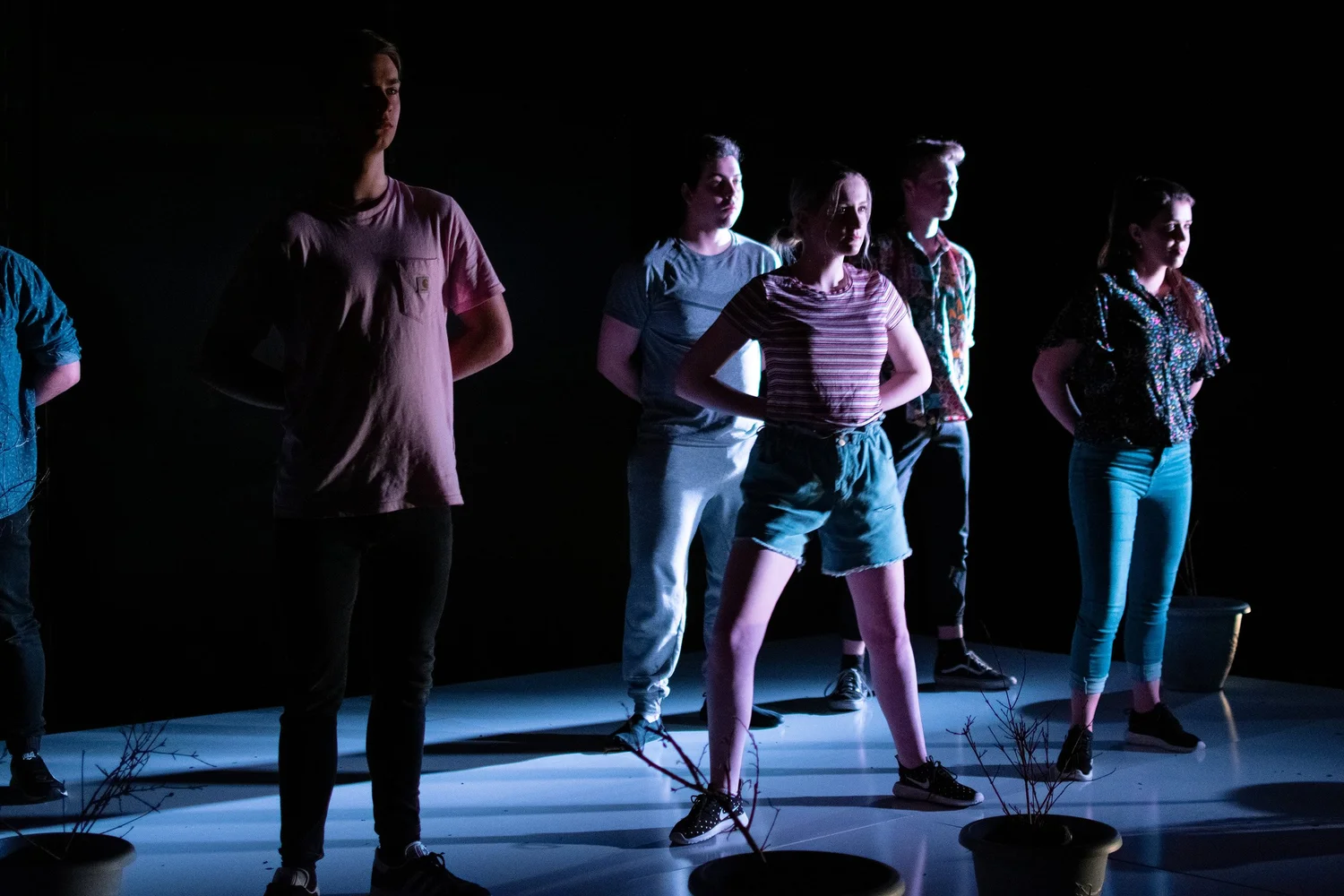 Collapse — Luke Rogers