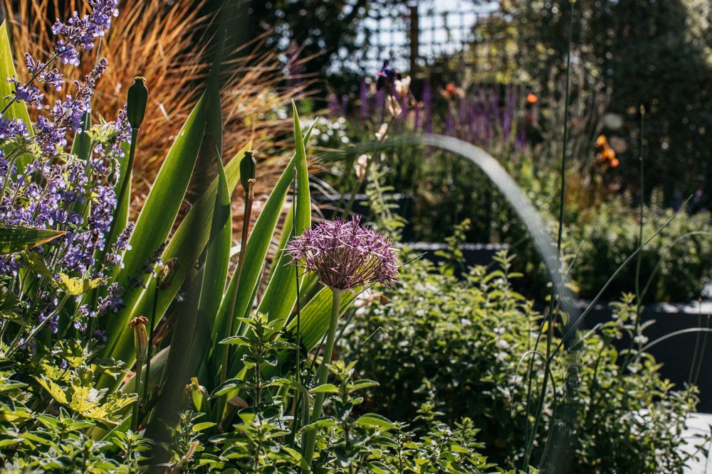Heidi Joyce Gardens – Full-service Gardens & Landscapes in Sussex