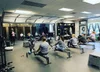 The Body Lab