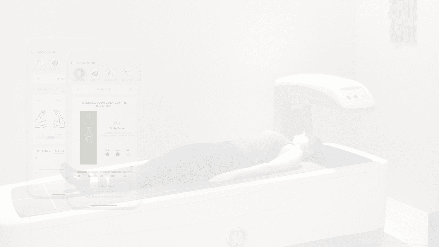 AI-Enhanced DEXA Body Scans in Burlington, Vermont — DexaFit Burlington