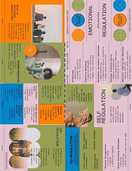 Understanding Emotional Regulation: Therapy & Skills — Mind+full Therapy
