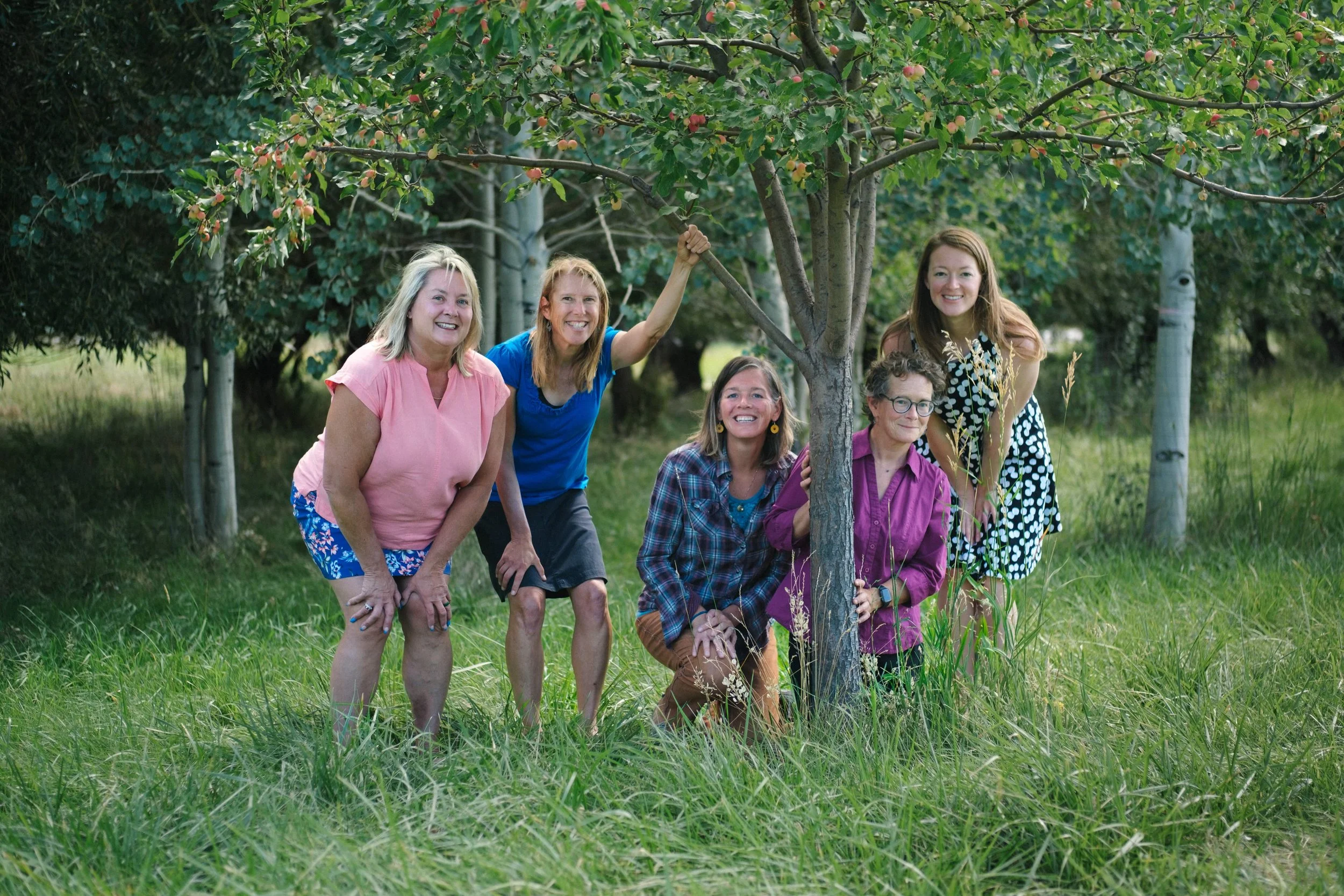 Mountain Meadows Montessori