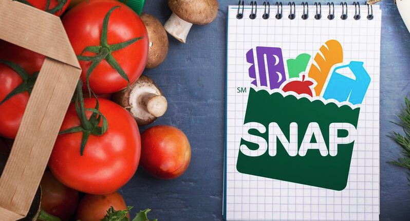 How to Apply for SNAP in Illinois + Link Card Tips — Blank-Insurance