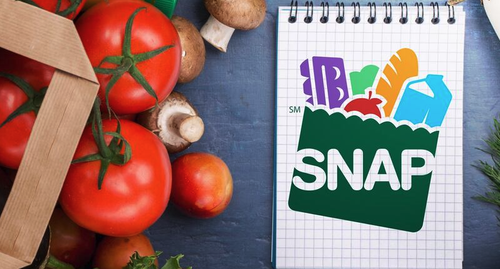 How to Apply for SNAP in Illinois + Link Card Tips — Blank-Insurance