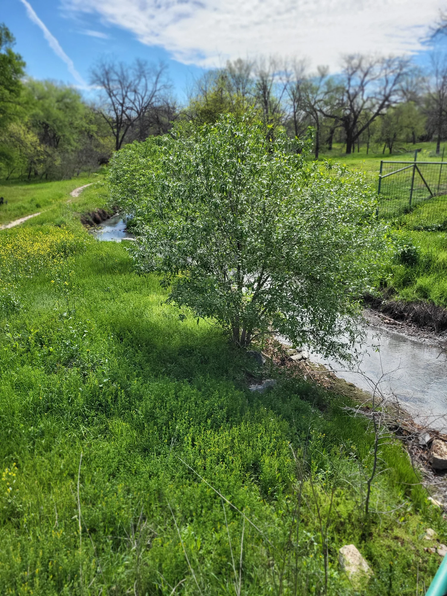 About Cooper Spring Nature Park | Preserving Natural Beauty — Cooper ...