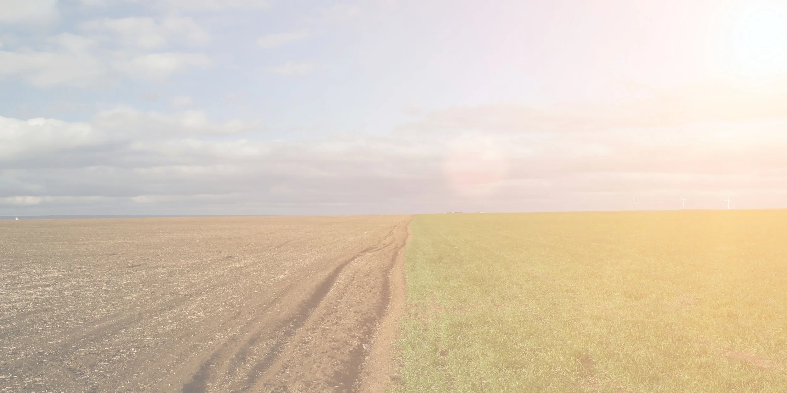 Book An Appointment — EDL LABS