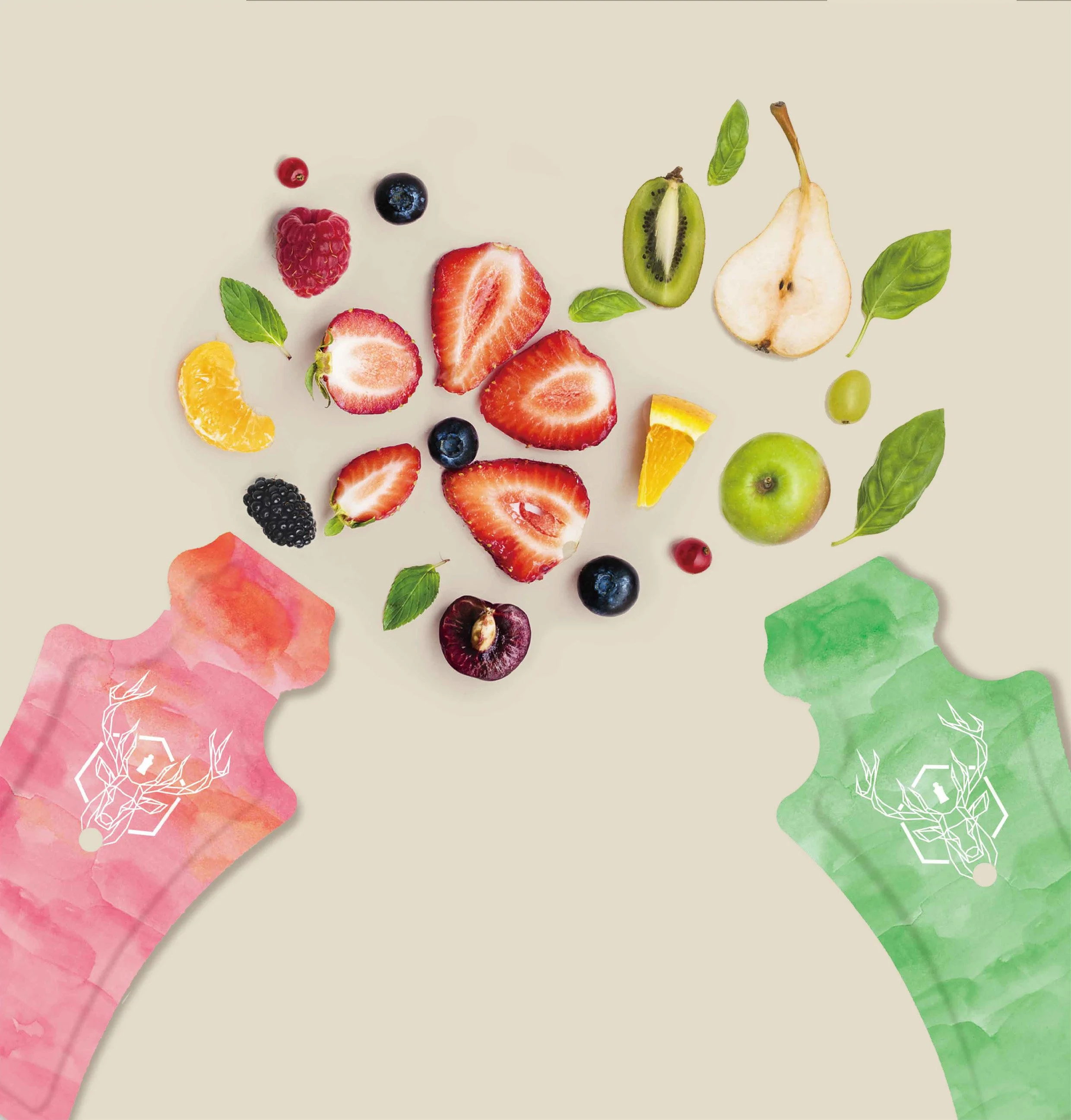 核心能力 — 漢田生技 HANTECH BIO-TECH