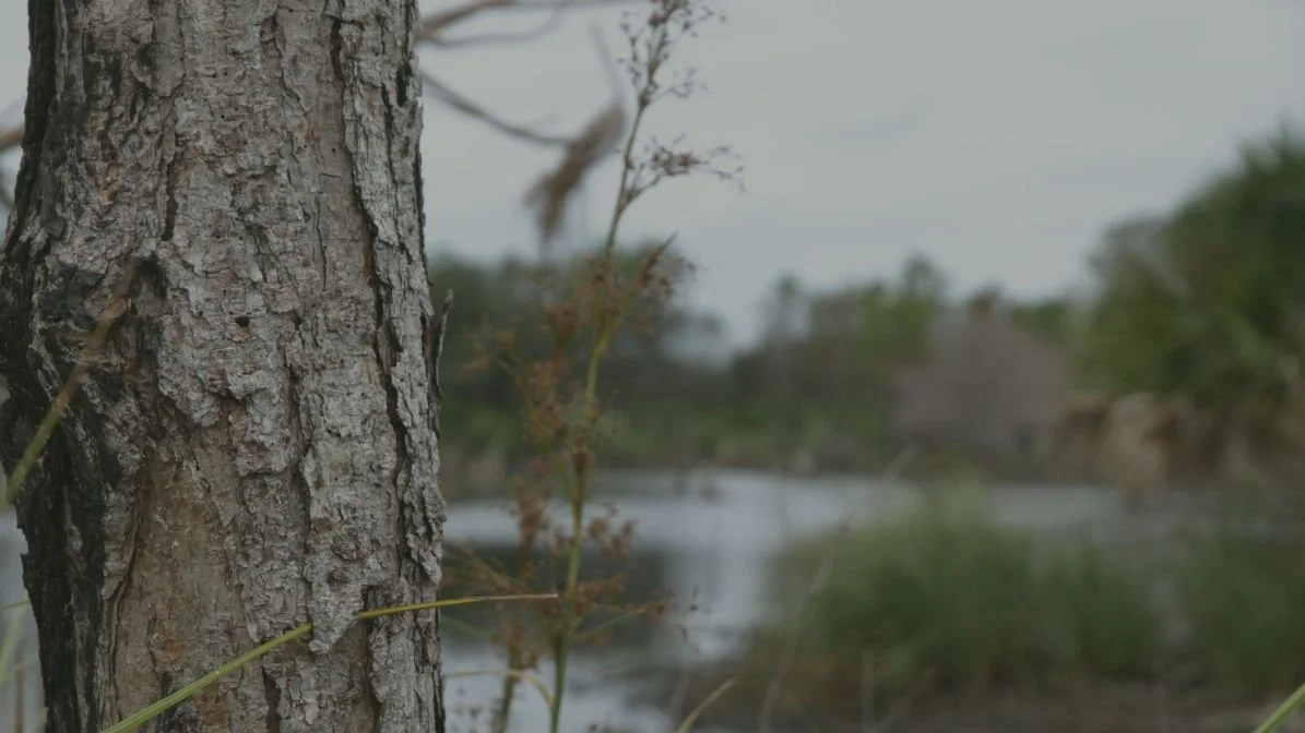 Woodbury Direct Primary Care | Dr. Neli Augustson