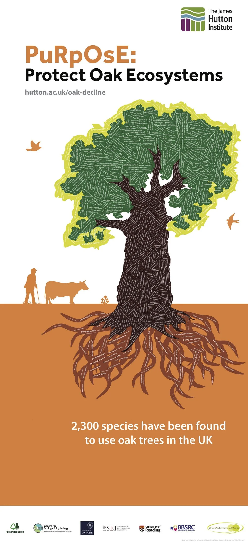 PuRpOsE: Uncovering the biodiversity of oak trees — Action Oak