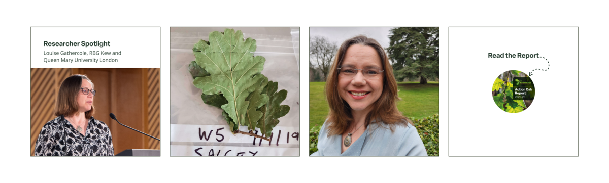 Researcher Spotlight - Louise Gathercole — Action Oak