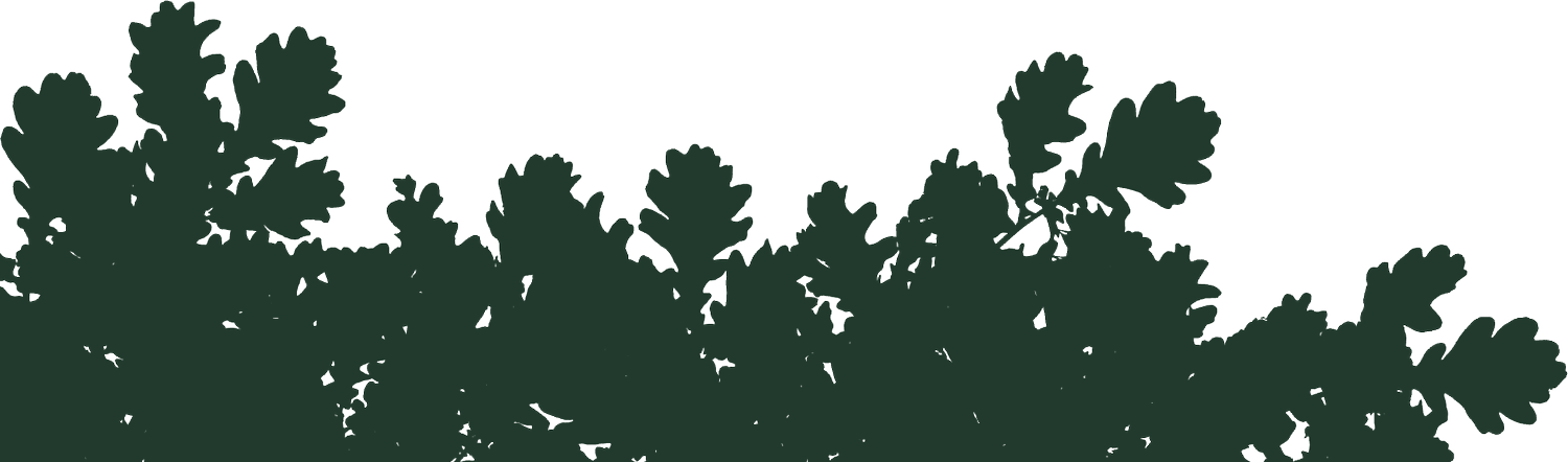 Action Oak