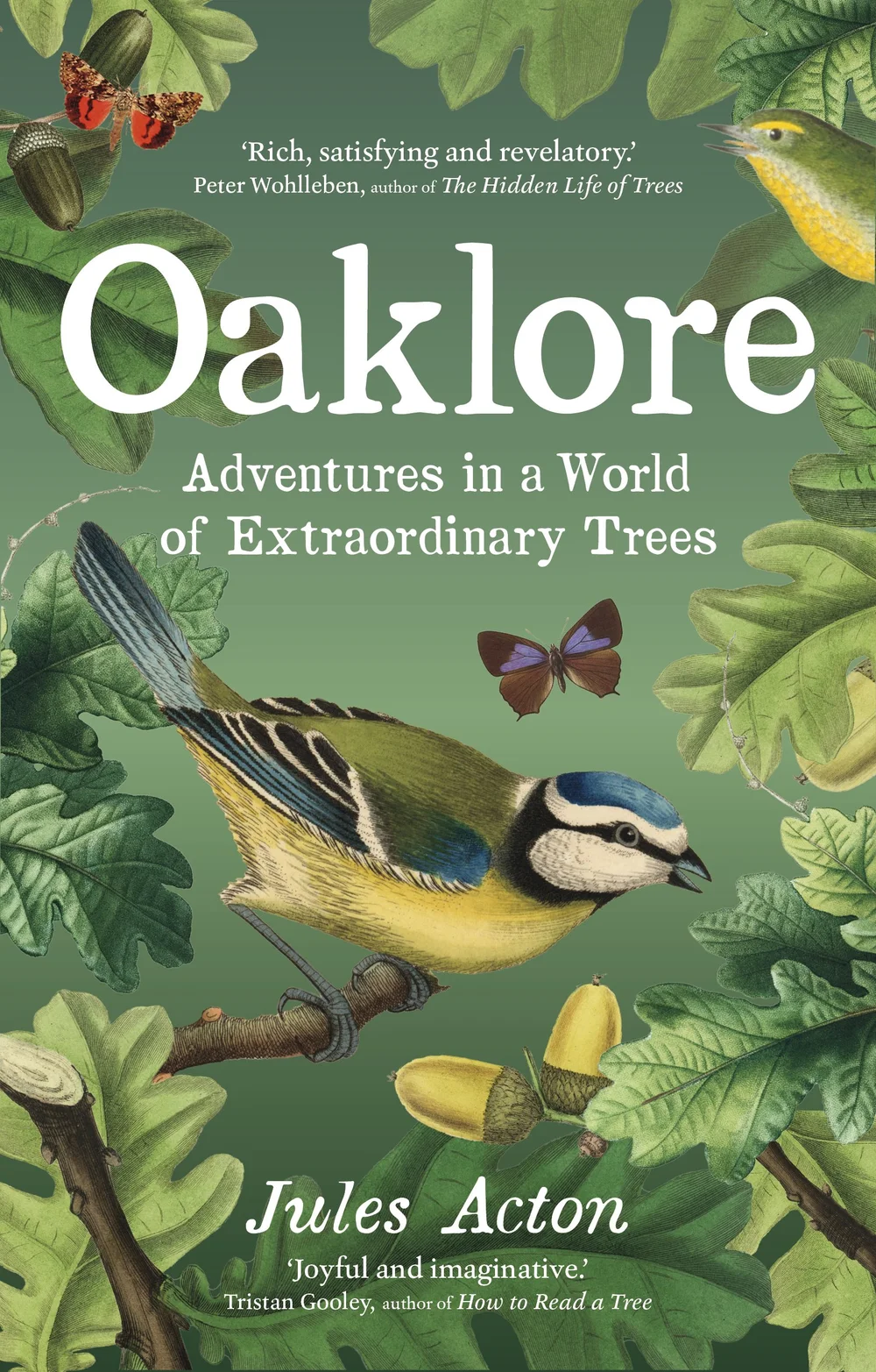 Oaklore - Adventures in a World of Extraordinary Trees — Action Oak