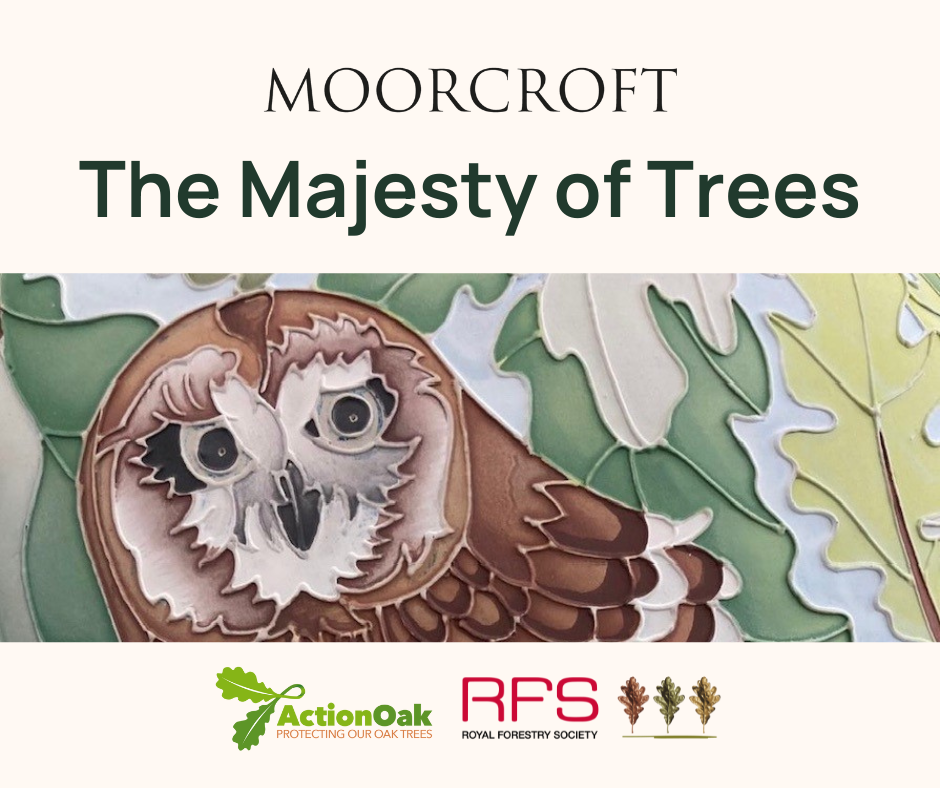 Collaborations | Action Oak