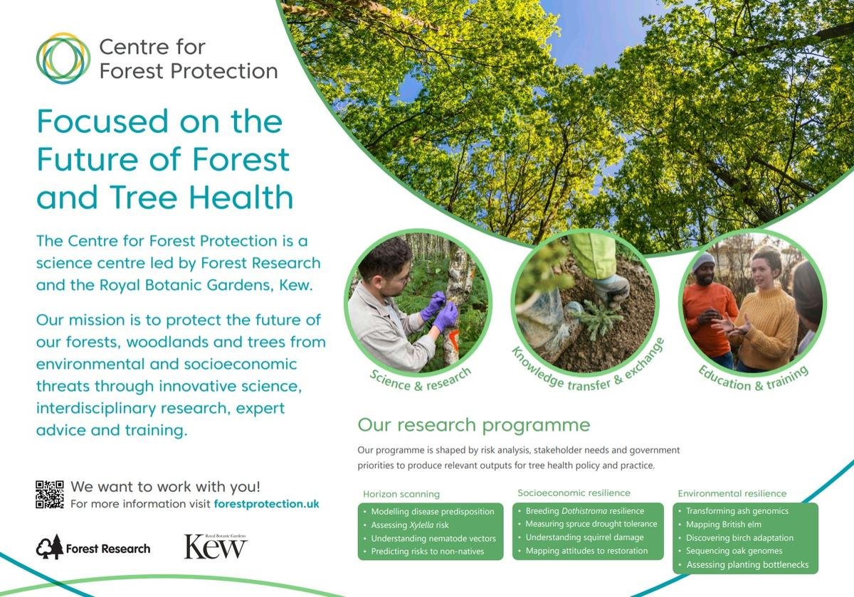 Researcher Spotlight - Louise Gathercole — Action Oak