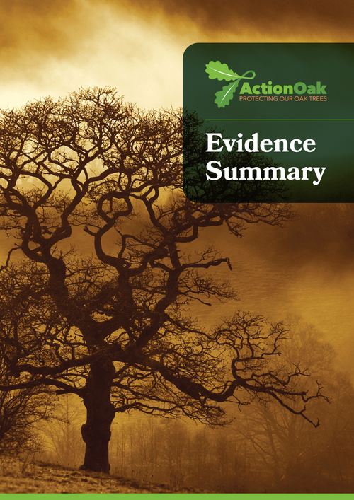 Reports & papers | Action Oak