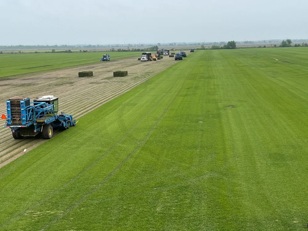 Murff Turf Farm
