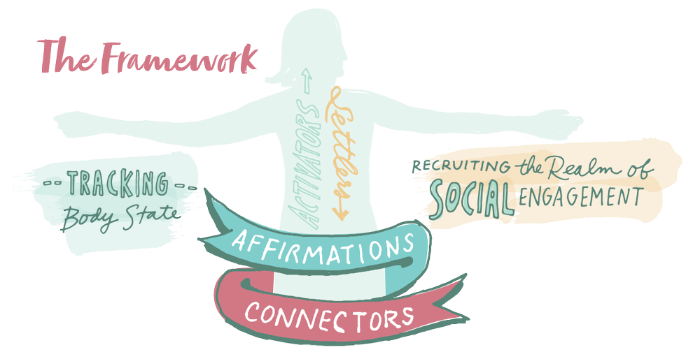 The Regulated Classroom® Evidence-Based Framework — The Regulated Classroom