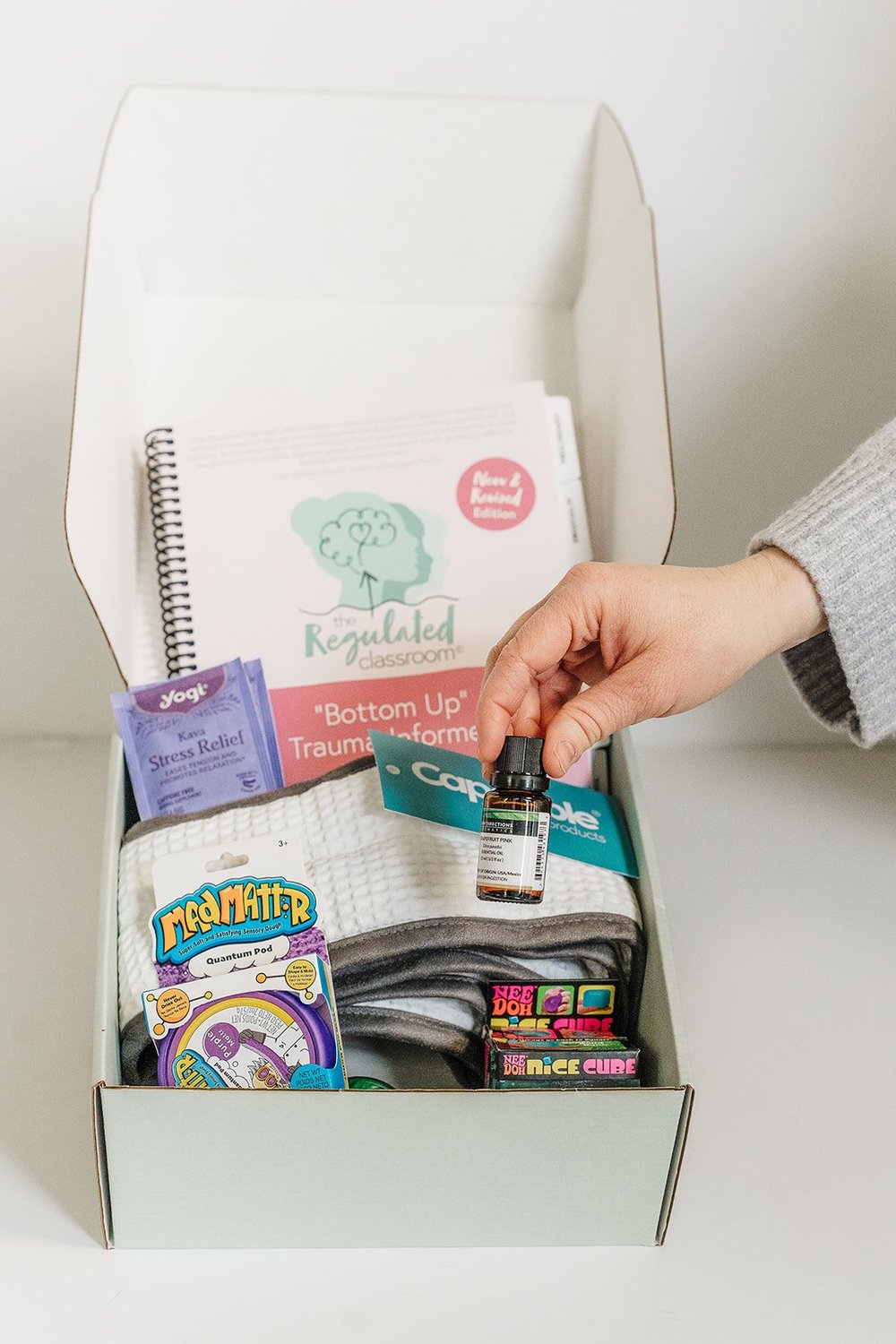 Educator Sensory Toolkit — The Regulated Classroom