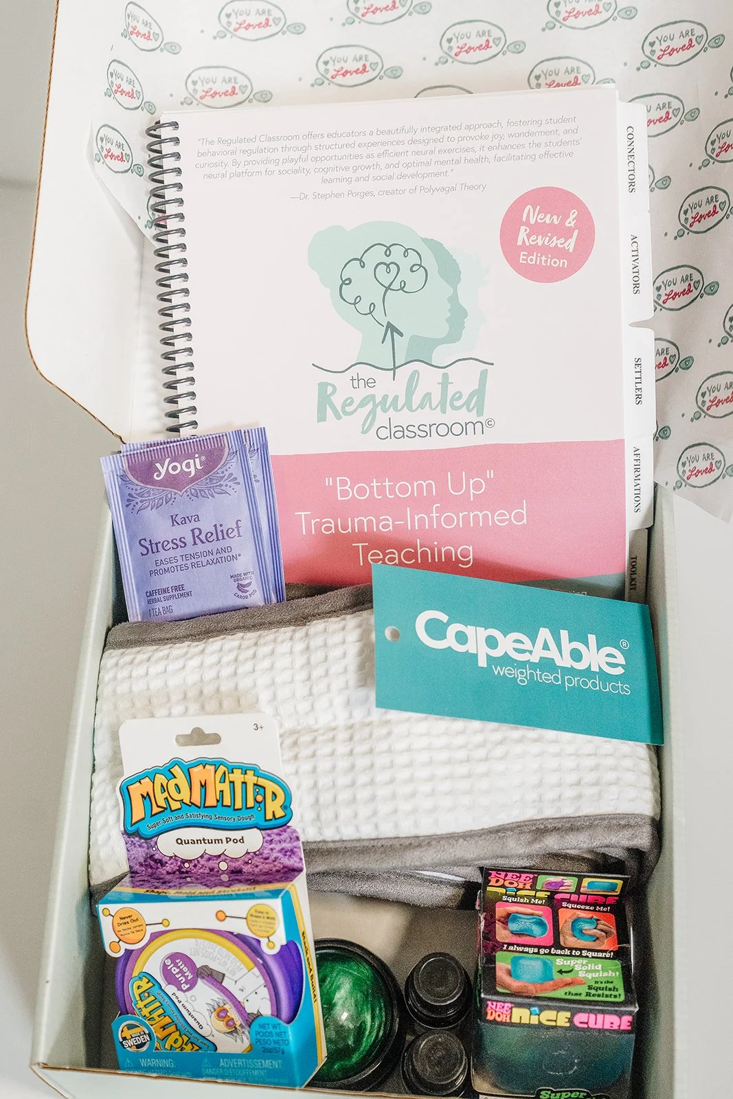 Educator Sensory Toolkit — The Regulated Classroom