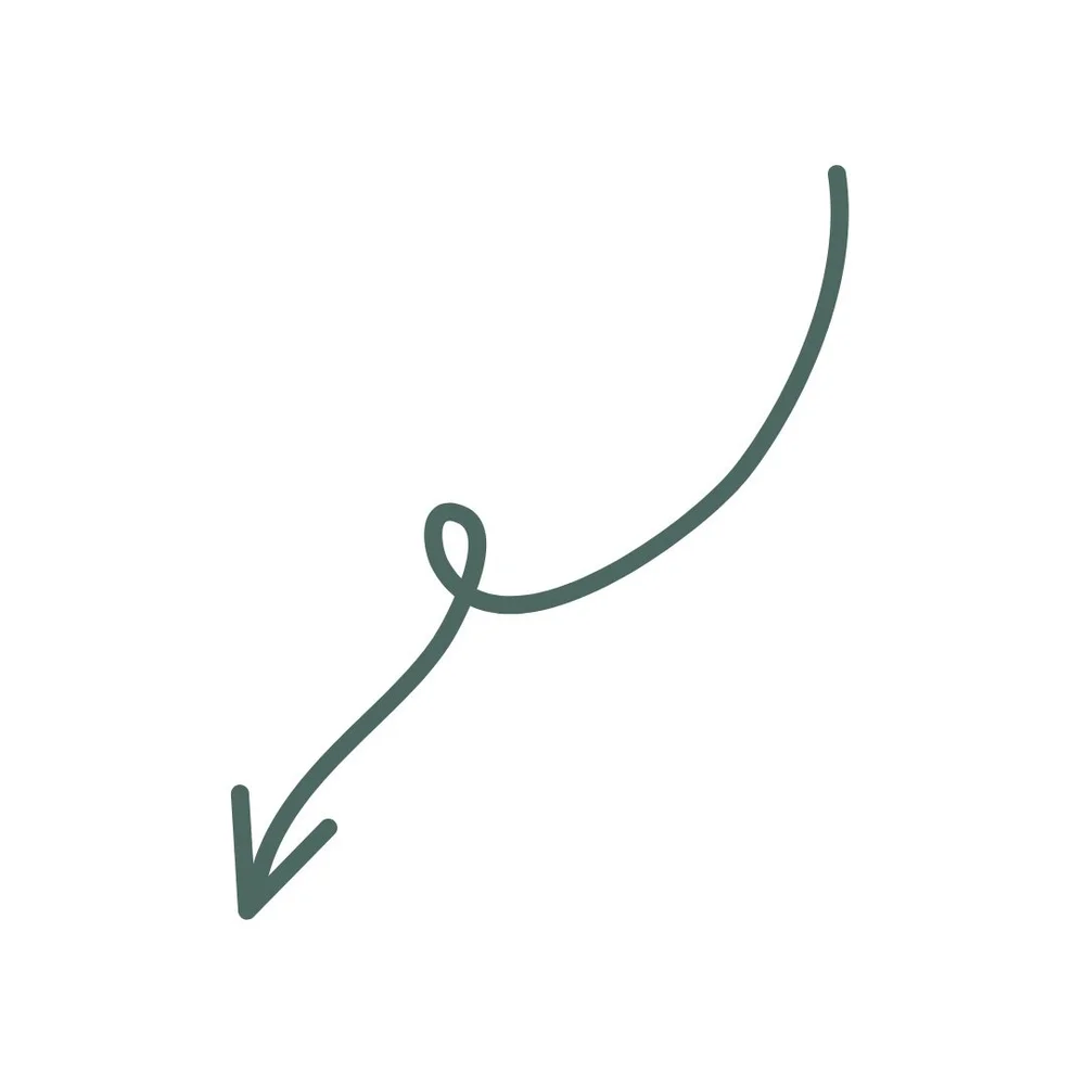 The Regulated Classroom® Evidence-Based Framework — The Regulated Classroom