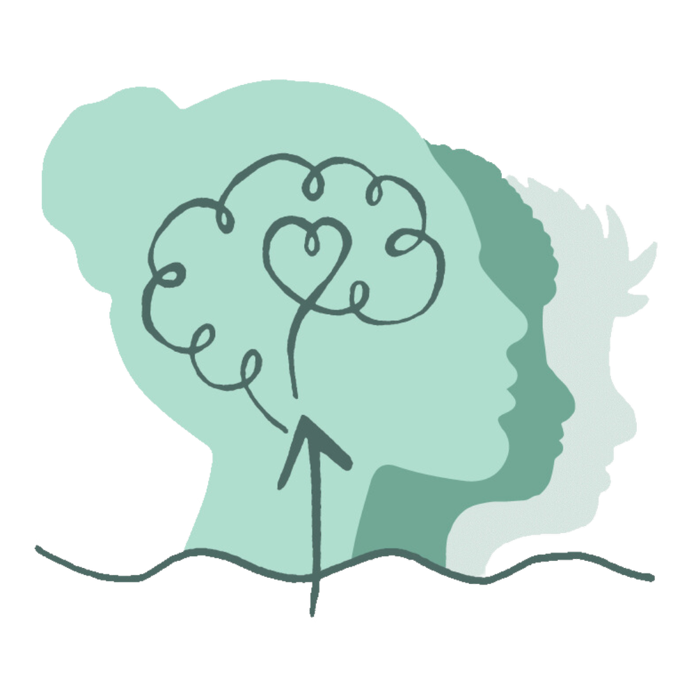 The Regulated Classroom® Evidence-Based Framework — The Regulated Classroom