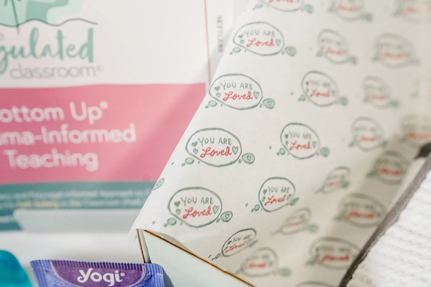 Educator Sensory Toolkit — The Regulated Classroom