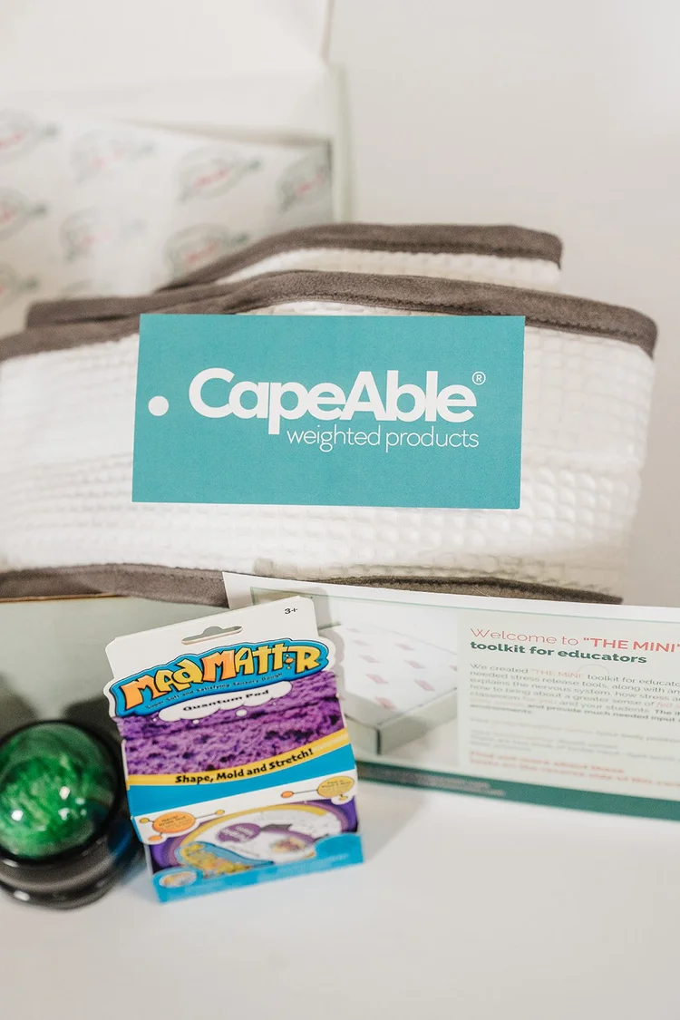 Educator Sensory Toolkit — The Regulated Classroom