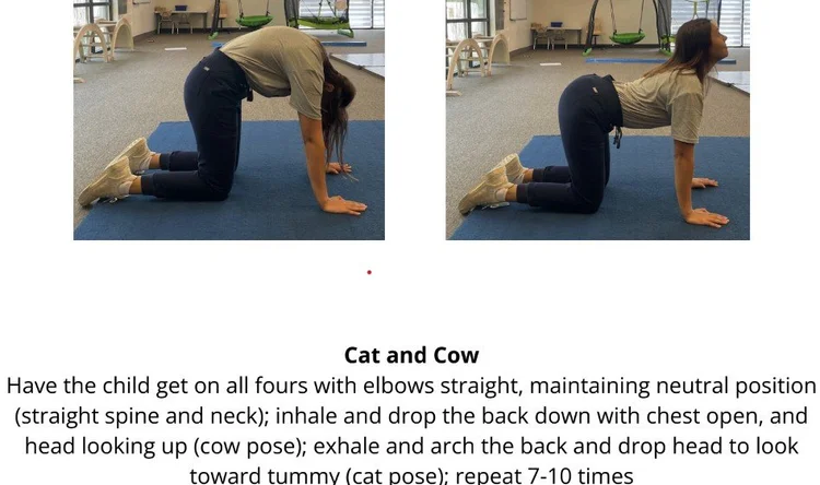 Primitive Reflexes — Ability Innovations