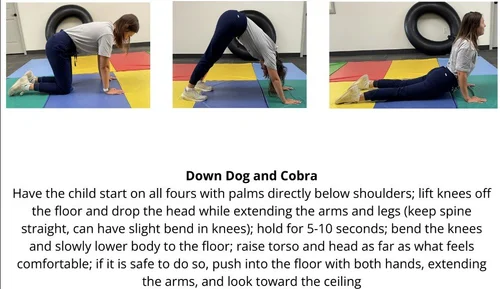 Primitive Reflexes — Ability Innovations